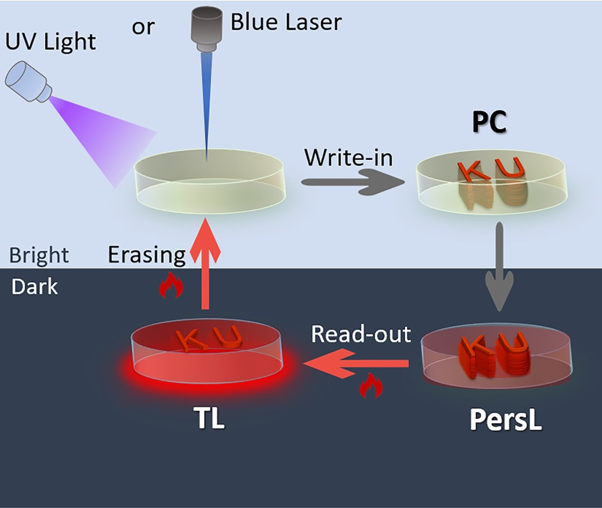 Publications - UEDA Lab